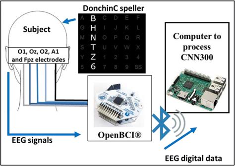 General Scheme Of The Proposed Bci Speller System Lebci Download Scientific Diagram