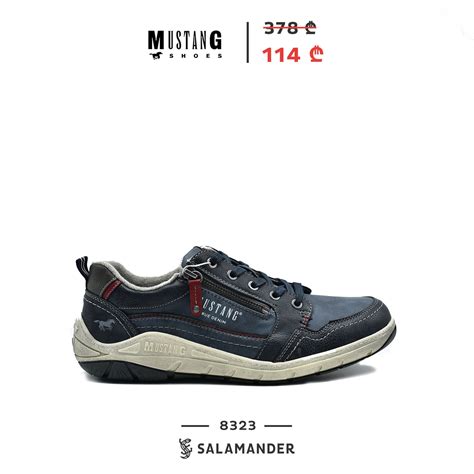 Salamander Salamander Georgia სალამანდრა საქართველო