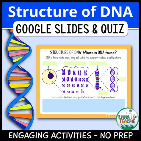The Structure Of DNA Google Slides Emmatheteachie