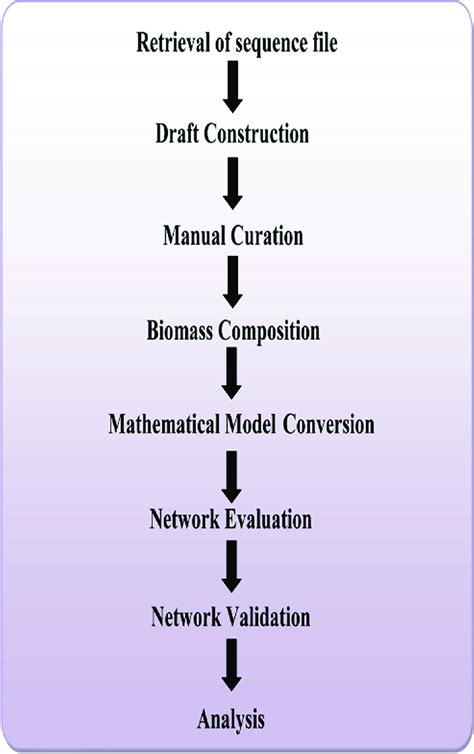 a flow diagram of genome scale metabolic model reconstruction