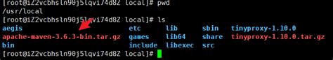 通过Docker部署SpringBoot项目 FishInThePool 博客园