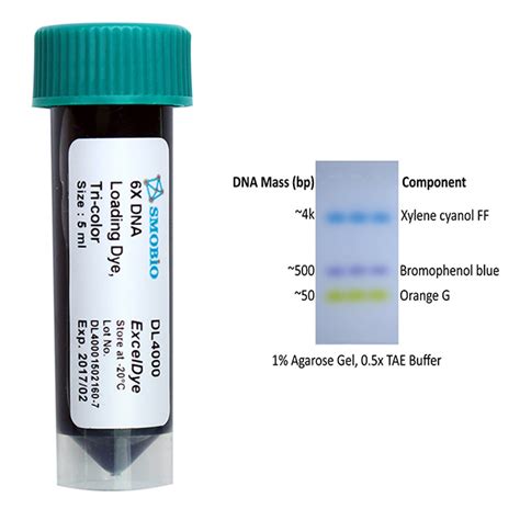 Rna Loading Buffer Recipe Bryont Rugs And Livings