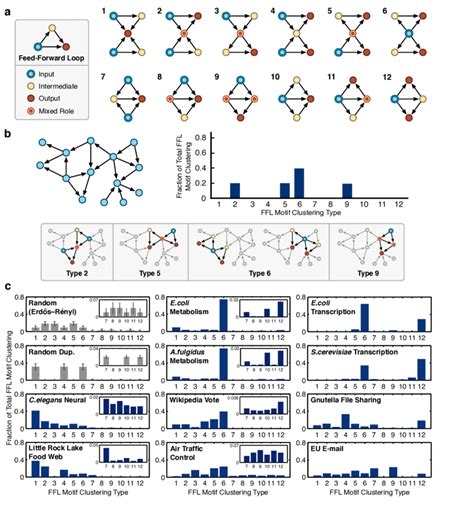classifying motif clustering types and their distributions a the 12