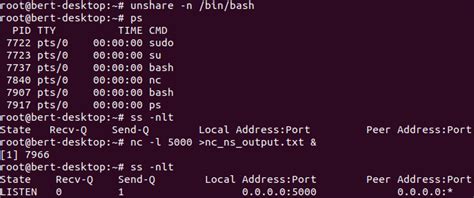 History Chroot Container