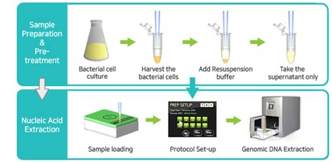 10 약물 유전체 유전자 변이 범죄 친자 분석 네이버 블로그