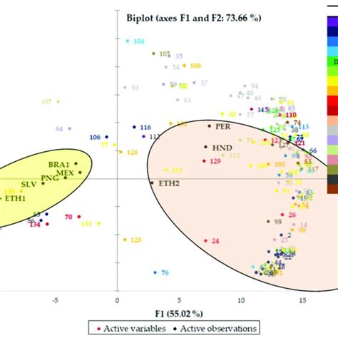 Principal Component Analysis Pca Scores Plot For Coffee Samples