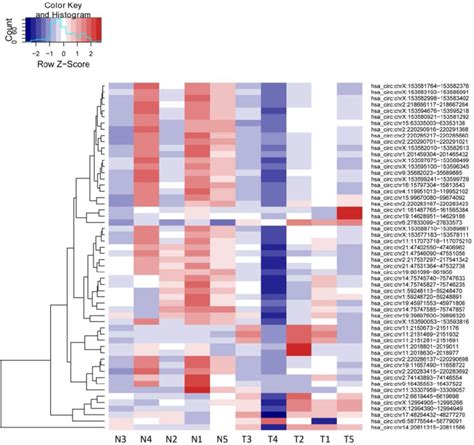 Heat Map And Unsupervised Hierarchical Cluster Download Scientific Diagram