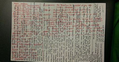 My Friend Discovered A New Way To Write A Cheat Sheet Imgur