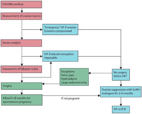 Algorithm For Management Of Infertility Associated With Endometriosis