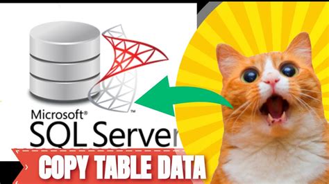 How To Copy One Table Data To Another Table In Sql Server Copy Table To