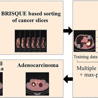 Workflow Of The Proposed Method Download Scientific Diagram