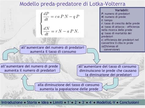 Modello Preda Predatore Di Lotka Volterra