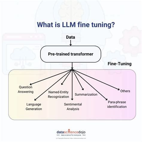 Fine Tuning Llms 101