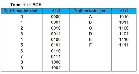 Binary Coded Decimal Hexadecimal Dan ASCII Folderku