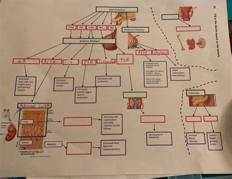 Solved Please Answer The Following