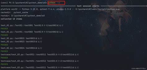 pytest测试框架 基本功能使用详解 python进阶 CSDN专栏