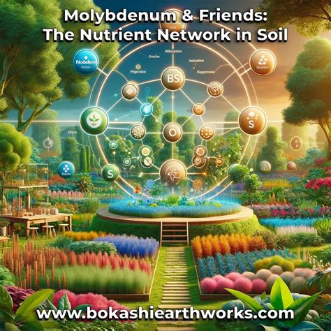 Brandon Rust On Linkedin 🌱 Molybdenum And Friends The Nutrient Network In Soil 🌱 Dive Into The