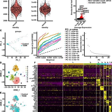 Cell Processing Of Scrna Seq Dataset Gse81608 A Number Of Genes Per