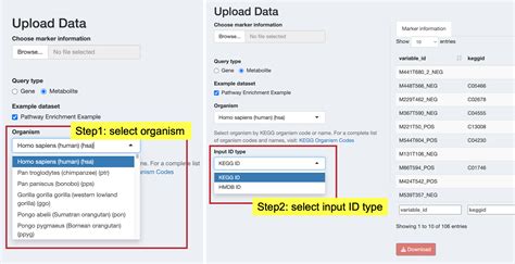 Mapa Tutorial 11 Data Input And Preprocessing