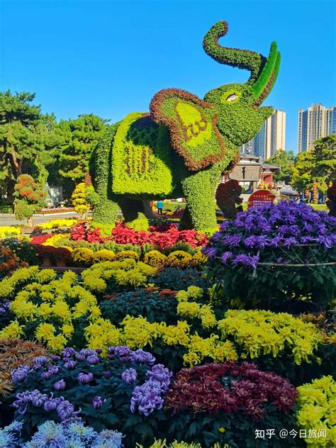 洛阳王城公园金秋菊展花香四溢，美景在不经意中展现，赏菊正当时 知乎