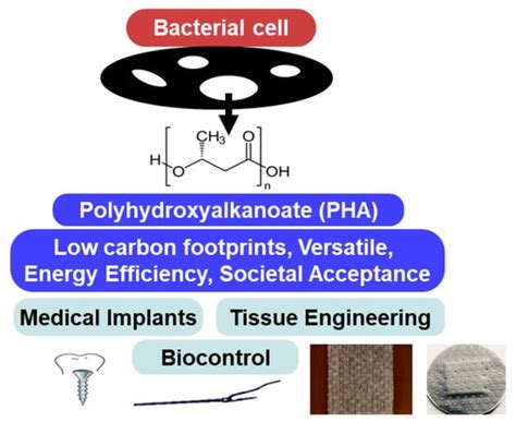Exploiting Polyhydroxyalkanoates For Biomedical Applications