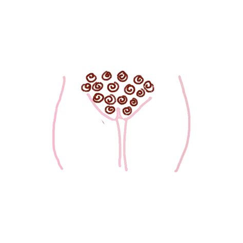 All Different Vulva Types Are Completely Normal Poosh