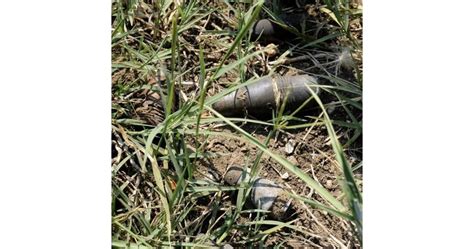 Обезвреждат бомбата в парка на Симитли