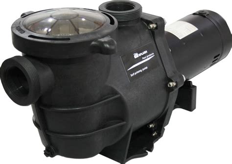 Types Of Inground Pool Pumps At Paul Morrison Blog