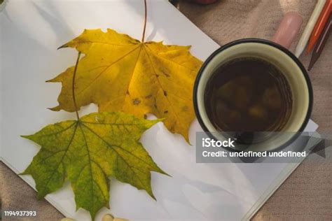 가을 공원의 따뜻한 격자 무늬에 그림을 그리기위한 차 빨간 사과 앨범 및 연필 한 잔 가을 정물 0명에 대한 스톡 사진 및 기타 이미지 Istock