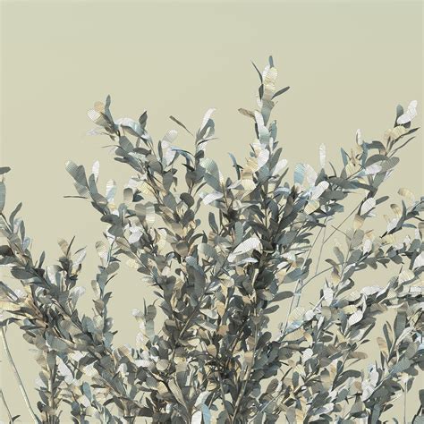 Crescentia 3d Model 39 Max Fbx Obj Unknown Free3d