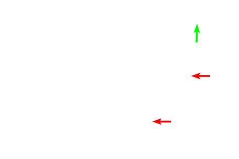 Stains 11 Digital Histology