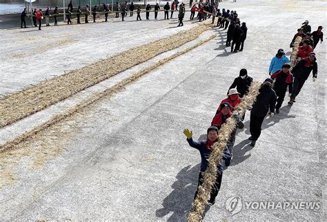 정월대보름 앞두고 전통 줄다리기 준비 연합뉴스