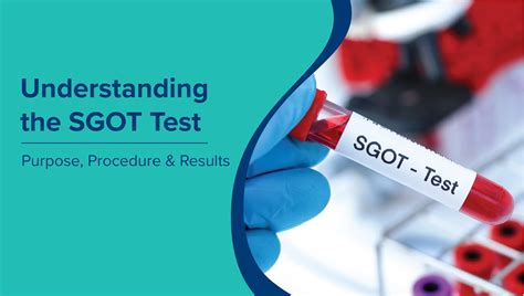 Sgot Test What It Is Purpose Normal Range Procedure And Results Maxathome