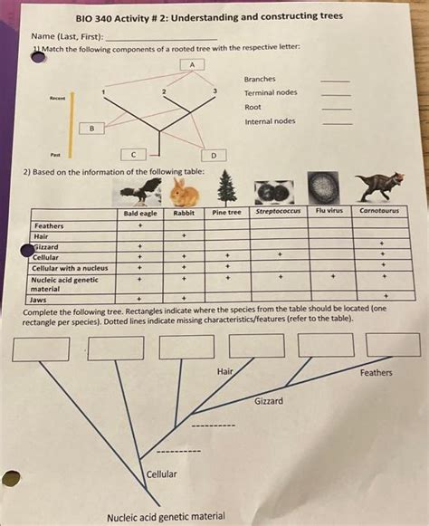 Solved BIO 340 Activity 2 Understanding And Constructing Chegg
