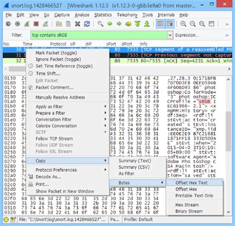케세라세라 Snort 분석web Client Malformed Png Detected Srgb Overflow Attempt