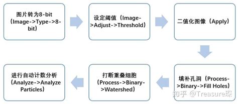 Imagej实用技巧——自动细胞计数 解放双手篇 知乎