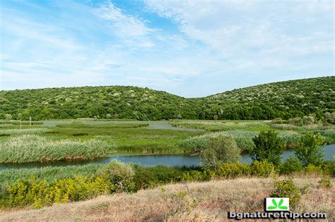 Бургас Устието на река Изворска Bgnaturetrip