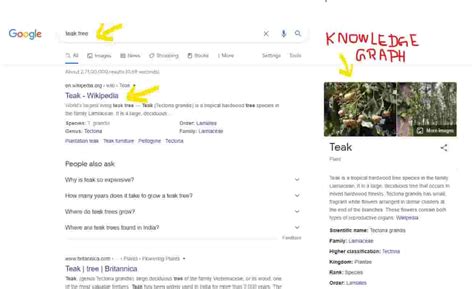 Three Types Of Search Queries In Search Engines