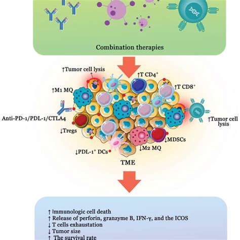 Combination Therapy Outcomes In Cancer Combining Oncolytic Viruses