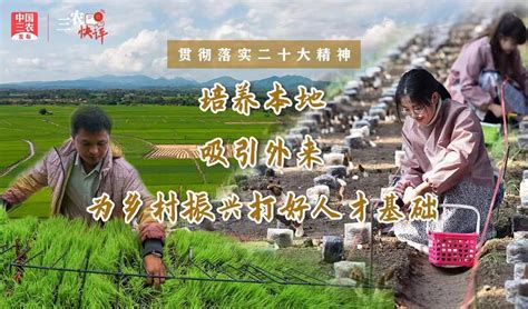 三农快评 培养本地吸引外来为乡村振兴打好人才基础 凤凰网视频 凤凰网