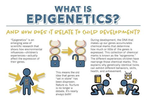 Beyond Nature Or Nurture With Epigenetics Epigenetics Nature Vs Nurture Nurturing