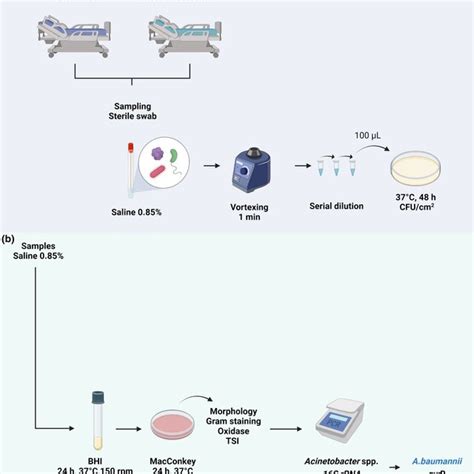 Flowchart Of Uncoated And Copper Coated Surface Sampling On Hospital