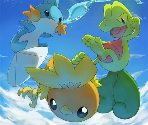 Torchic Mudkip And Treecko Pokemon Drawn By Pinkgermy Danbooru