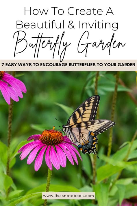 How To Grow A Butterfly Garden Wvpox