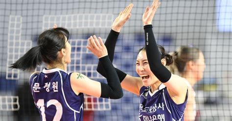 박정아 놓친 한국도로공사 배유나·문정원·전새얀과 Fa 계약 체결