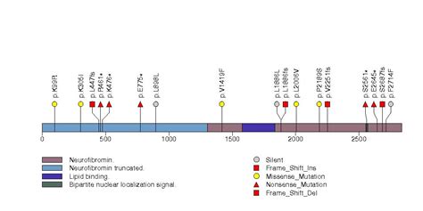 Mutation Analysis Mutsig 2cv V31 Hg38 Beta