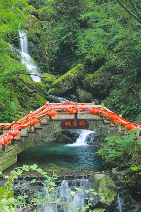 到万盛过年 黑山谷灯红谷绿迎新春 重庆城乡网