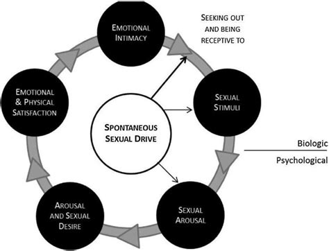 What To Do When Sex Doesnt Feel Right What Does Healthy Sexual Function Look Like