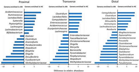 In Vitro Modelling Of A Typical Dietary Intake In Restrictive Anorexia Nervosa Results In
