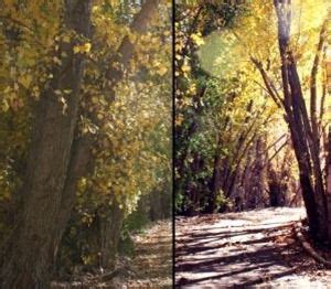 Best GIMP Tutorials To Enhance Your Design Skills Gimp Photo